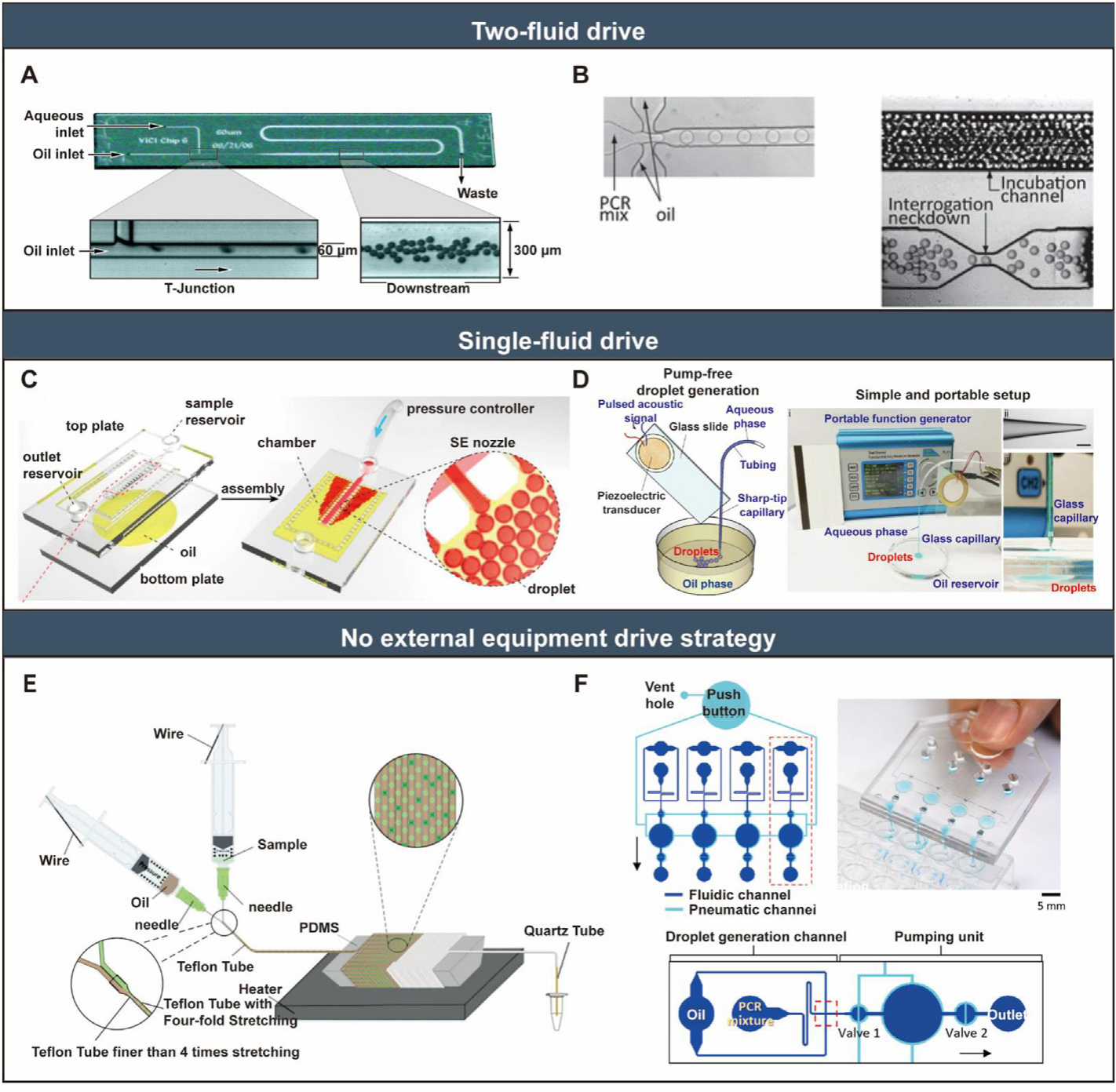 Droplet-based digital PCR (ddPCR) and its applications-海南省生物材料与医疗器械工程研究中心